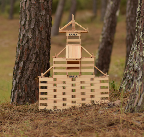 Inspiration – KAPLA Australia e-store